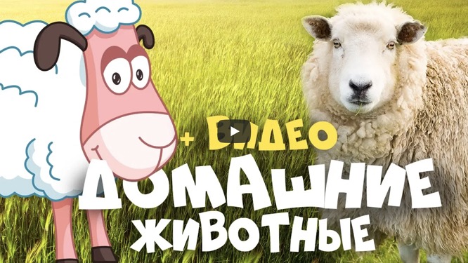 Изучаем ДОМАШНИХ ЖИВОТНЫХ - видео и звуки | Развивающие мультики для МАЛЫШЕЙ и ДЕТЕЙ | Детский канал
