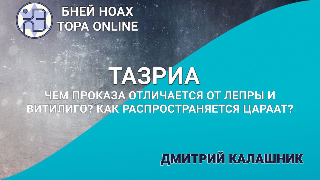 Чем проказа отличается от лепры и витилиго? Как распространяется цараат? Недельная глава Тазриа