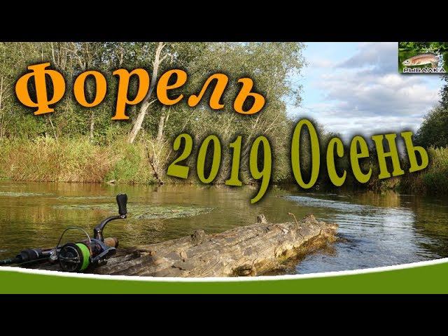 Осенняя Форель. Рыбалка в Ленинградской области. СЕНТЯБРЬ 2019.