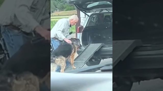 Старые друзья