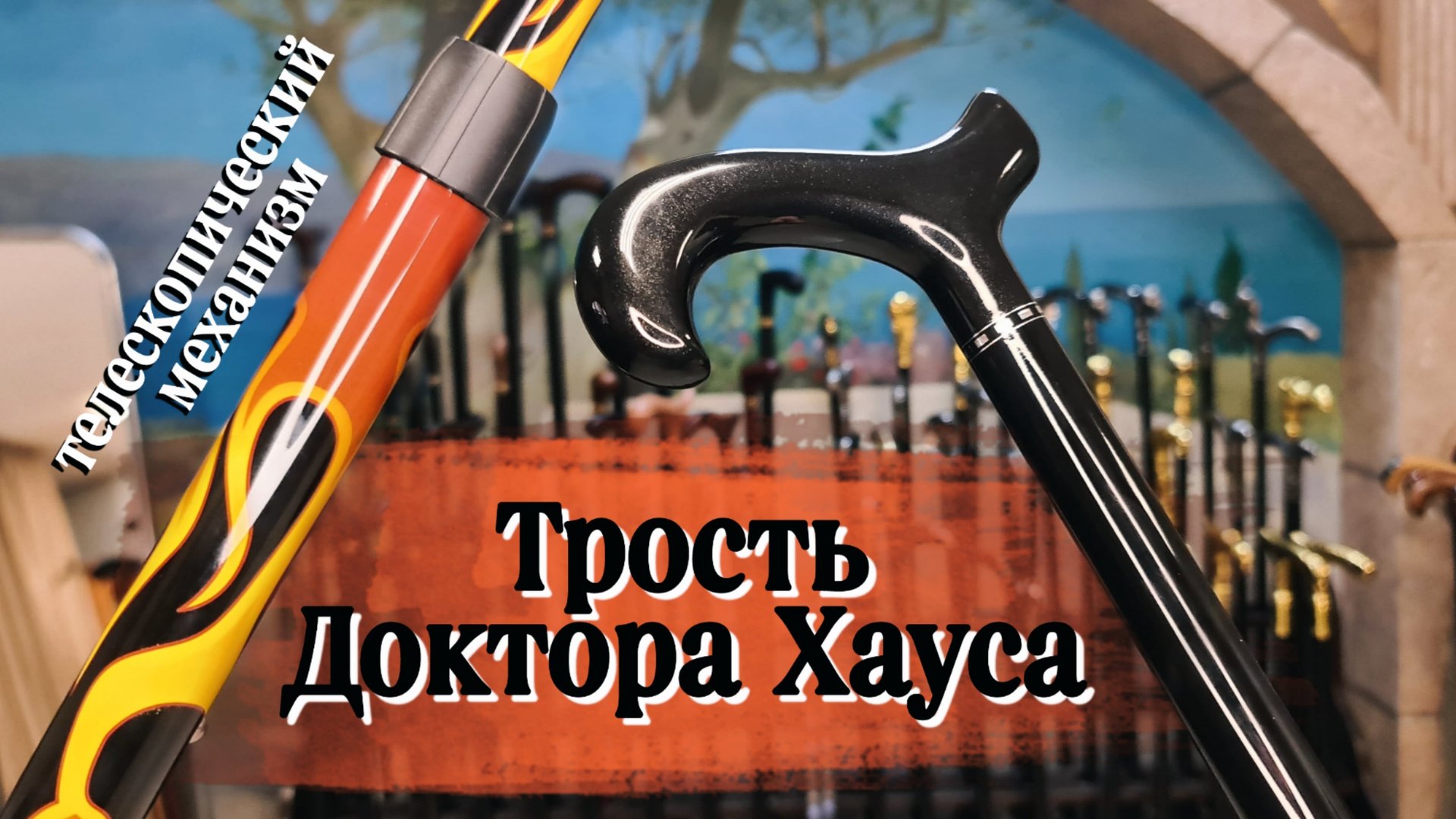 Легкая трость Грегори Хауса | Эрфурт