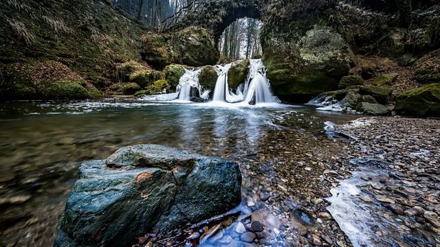 HD Пение птиц / Пейзажи / Расслабляющие звуки природы I Снятие стресса / Расслабление