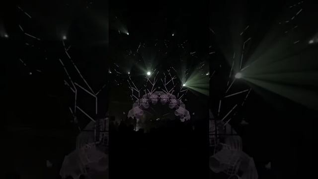 Stephan Bodzin in Moscow - led tree Madrix software