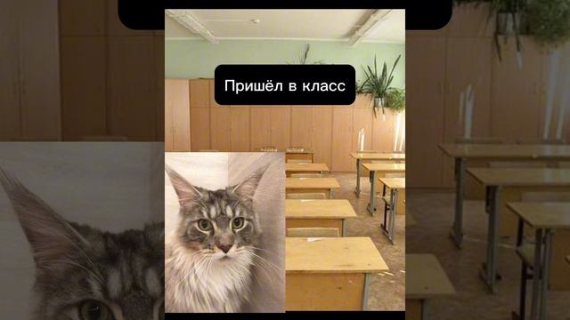 День Марса анимация