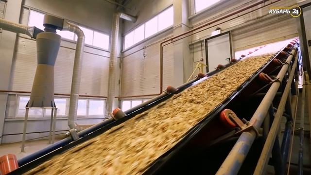 «Кубань на высоте». Производственно-деревоперерабатывающий комплекс «Апшеронск».