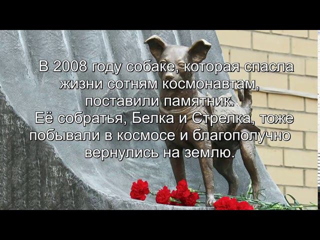 Памятники животным