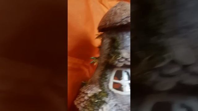 Загадочный домик