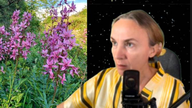 17 сентября. Вавила Острые вилы. Неопалимая купина