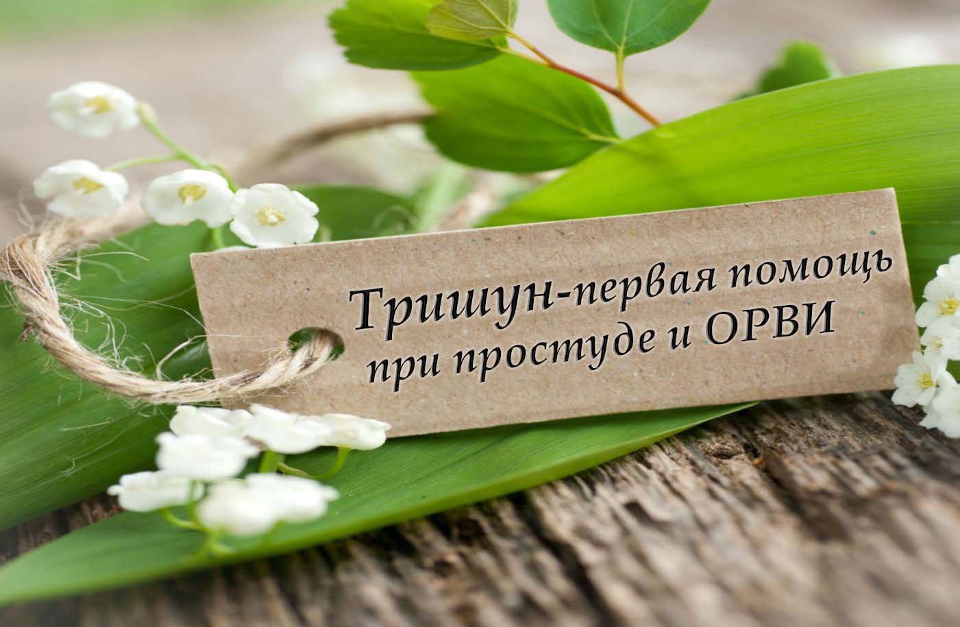 Тришун при простуде и орви.