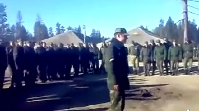 обязанности дневального рэп