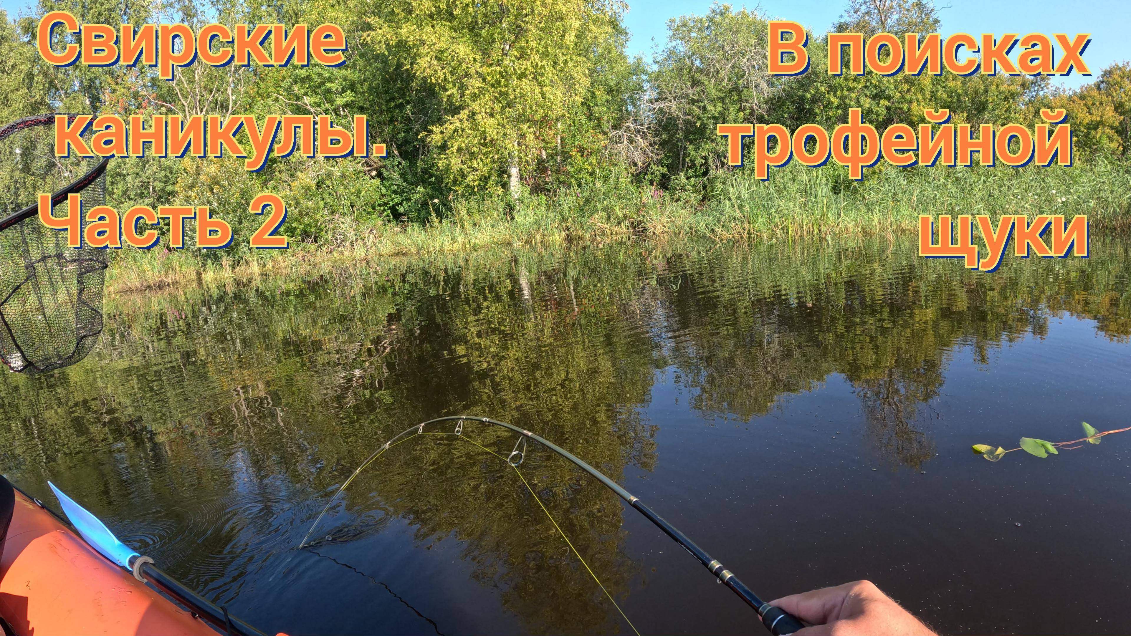 Свирские каникулы 2024. В поисках трофейной щуки (часть 2)