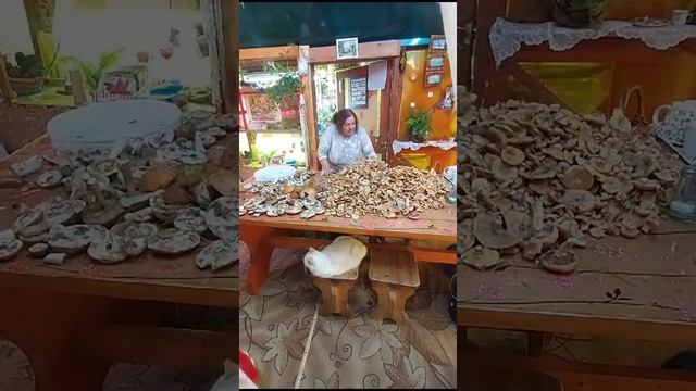 Осенний сбор