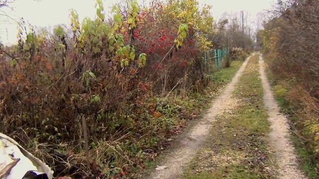 Большой обзор нашего садового товарищества. Тестирую новый монопод штатив для камеры. Купили сад 21