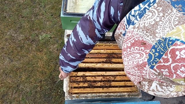 Ранний старт 2022, подготовка к стимуляции