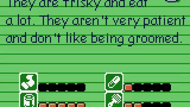 Barbie: Pet Rescue (Game Boy Color) полное прохождение