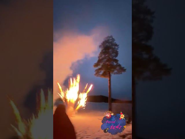 Ночной салют на Гендер пати.  Необычный способ узнать пол ребенка. Результат в конце видео