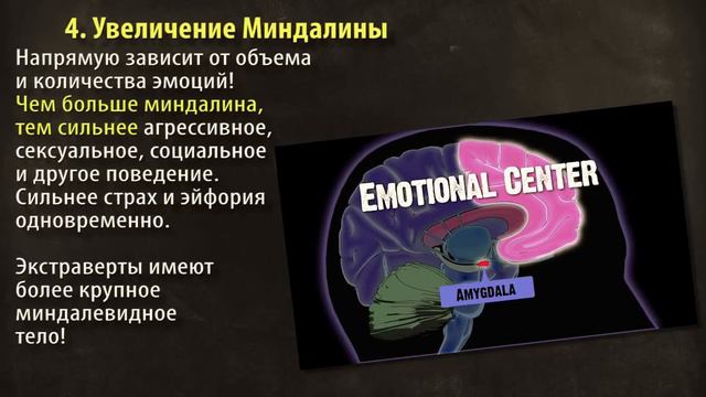 28. Что, Если Ты ЭКСТРАВЕРТ!