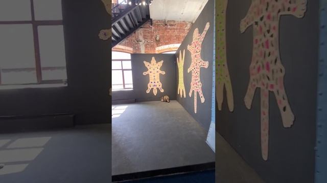 енот Витя на выставке дизайнеров #shorts