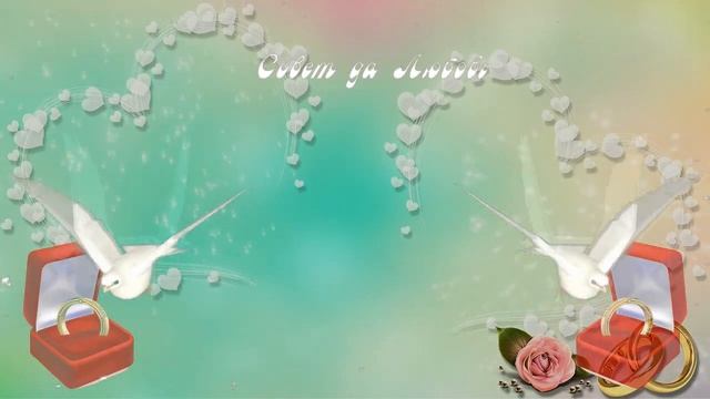 08 С ДНЁМ СВАДЬБЫ