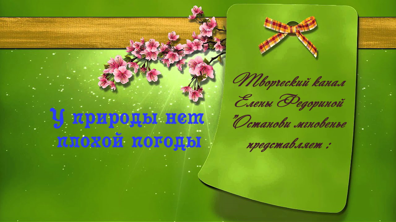 У природы нет плохой погоды