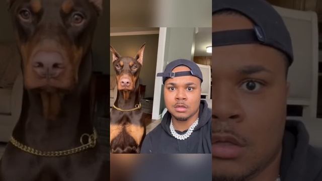 VID_20221219_210425_967.mp4