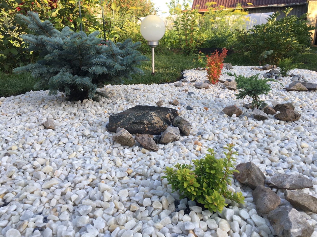 Создание миксбордера из хвойных и декоративнолиственных растений своими руками,быстро и доступно