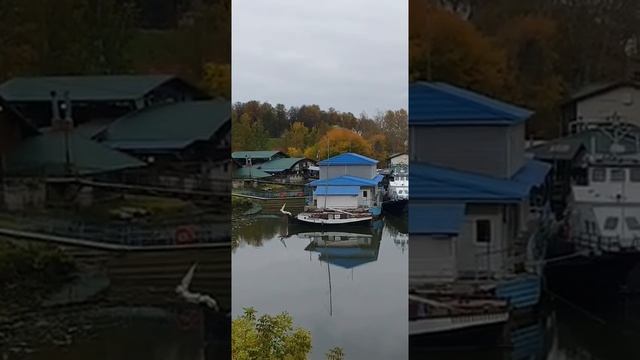 #shorts Настоящая осень ?  Прогулка по парку.