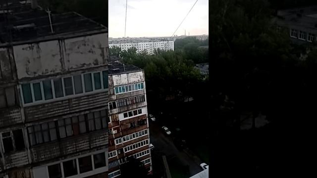 последствие бури и ливня 17062024