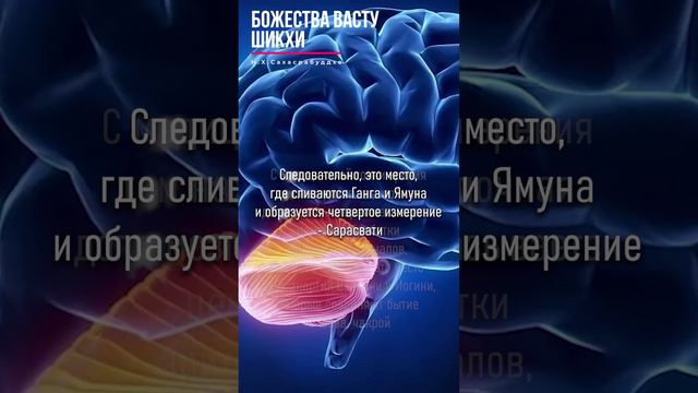 Божества Васту Пуруша Мандалы Шикхи 3. Н.Х.Сахасрабуддхе