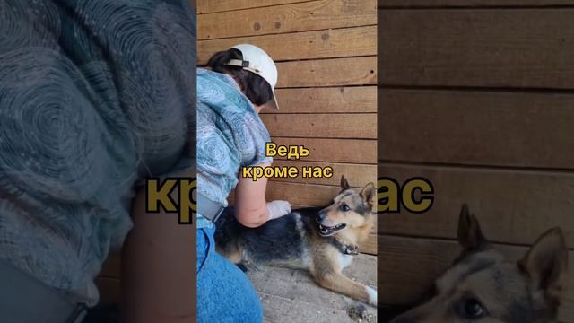 Чтобы не случилось, мы топаем в приют