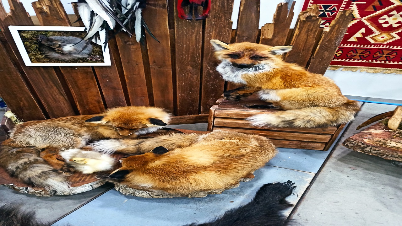 Экспофорум. Санкт-Петербург. Выставка рыбалка и охота.