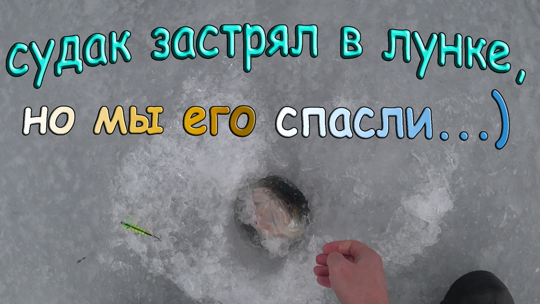 Крупный судак застрял в лунке, но мы его, все равно, достали!) Рыбалка зимой, на ВИБ!