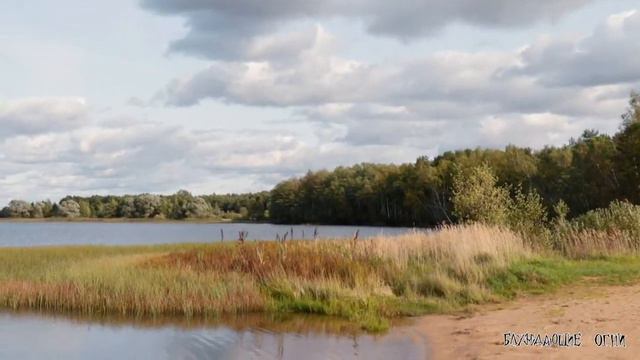 Блуждающие огни — Розмарин, тимьян и шалфей (teaser)