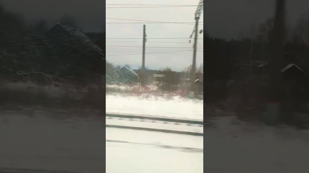 #shorts Пинеры из окна поезда.