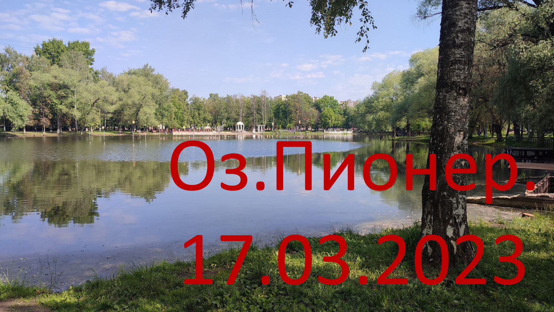 Видеоминутка с озера Пионер 17 06 2023