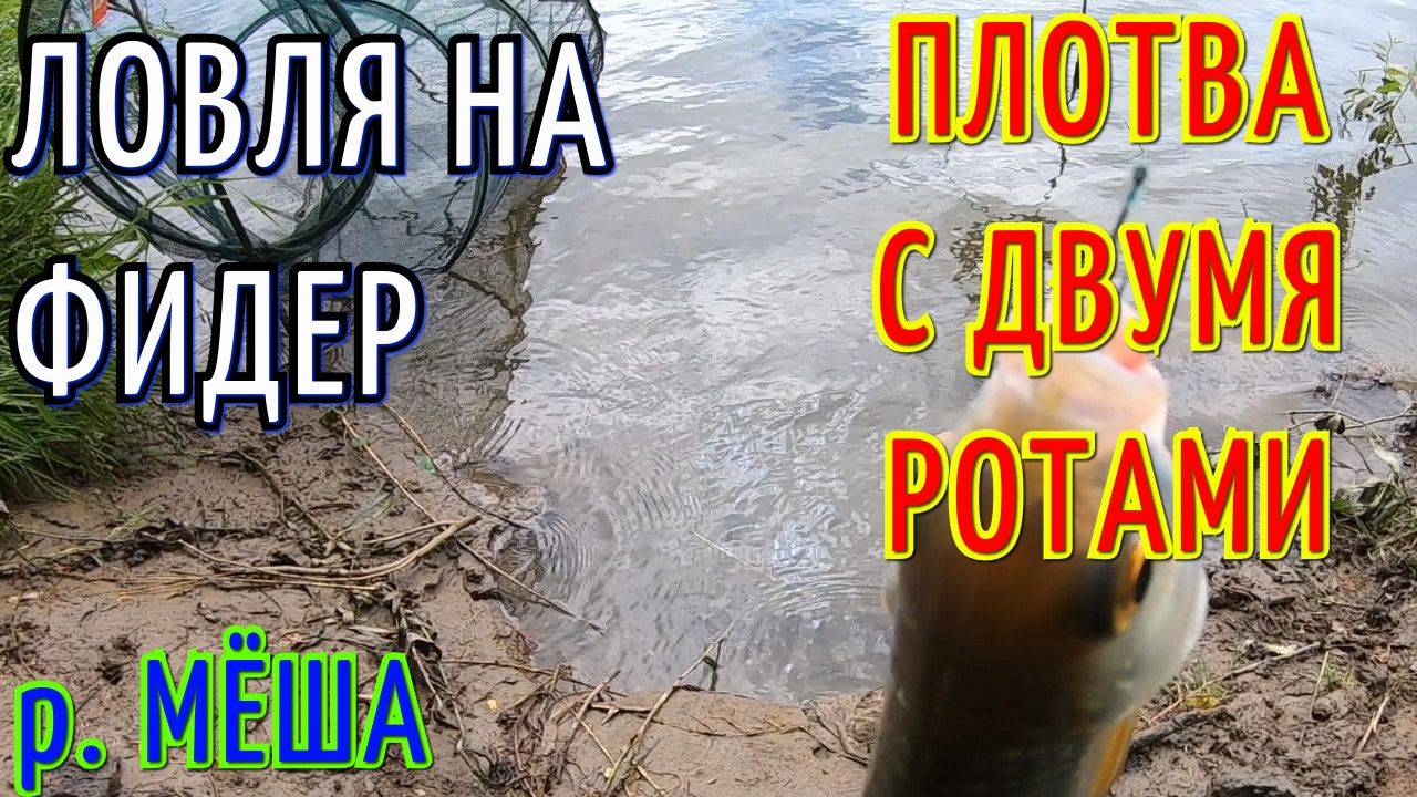 Рыбалка на фидер. Ну и пусть ДОЖДЬ, ну и пусть грязь, зато был на РЫБАЛКЕ!