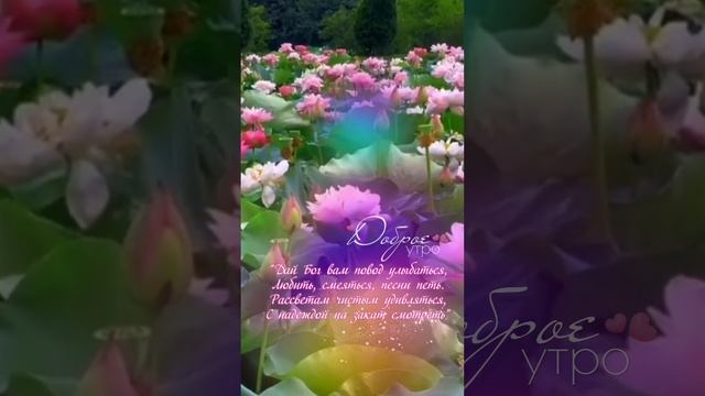 Дай Бог вам повод улыбаться