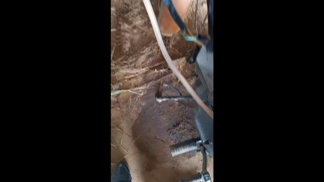 Дарёному Восходу куда только не смотрят