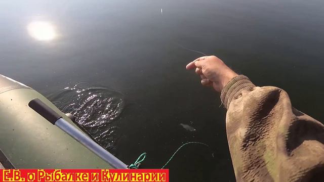 РЫБАЛКА НА ОБЫЧНЫЙ ПРУТИК КАК В СССР, ТЯГАЕМ ГИГАНТСКУЮ СОРОЖКУ.