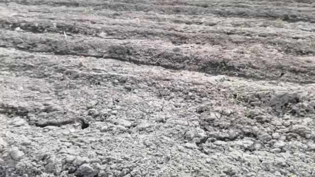 Копаем с Металлоискателем 5 Серия