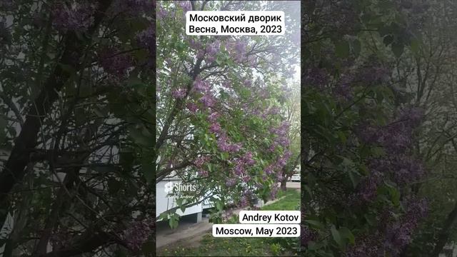 Московский Дворик.