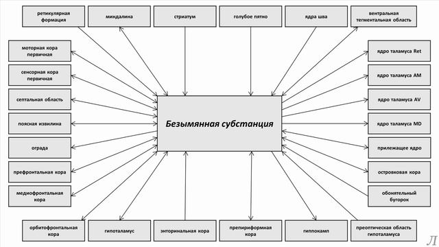 11.14 Подробное разъяснение. Холинергическая система