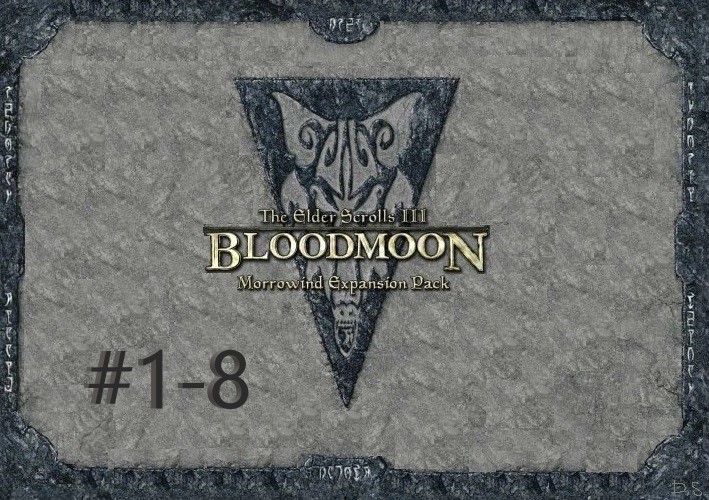 TESIII Bloodmoon #1-8 Тимваул в колодце.mp4