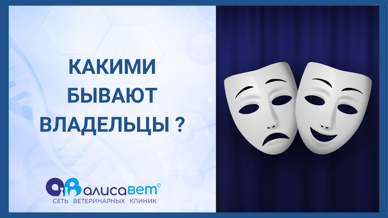 Какими бывают владельцы?
