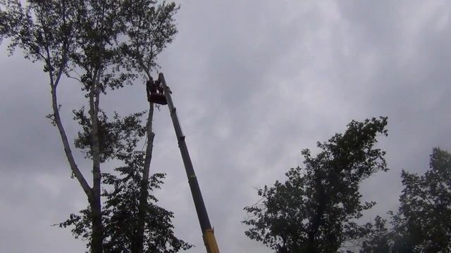 Все видео_Комсомольская 43 (часть 2).mp4