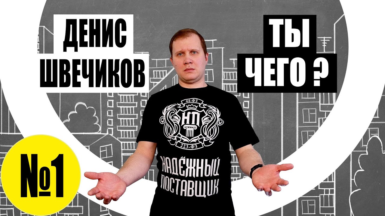 Швечиков Денис. Отзыв на жалобы.