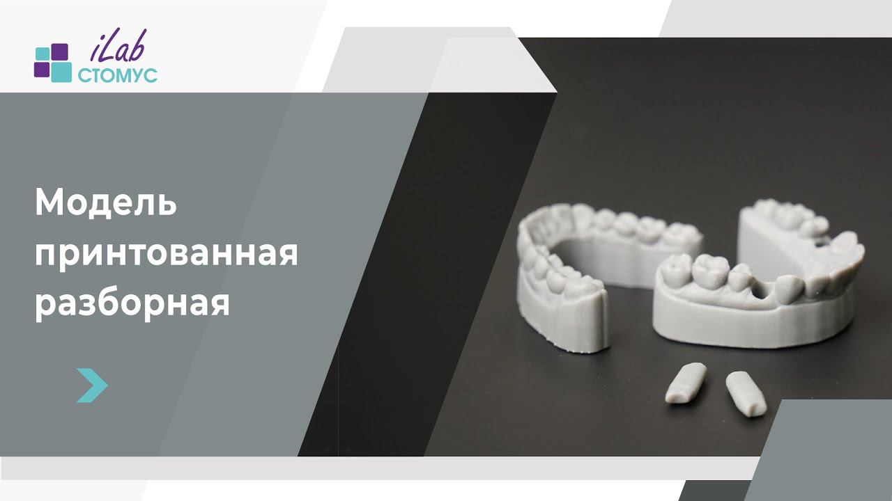Модель принтованная разборная
