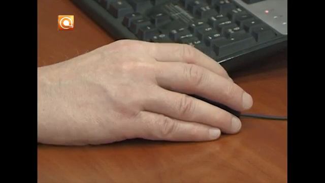 АГТВ_ Тюльпаны в АВК