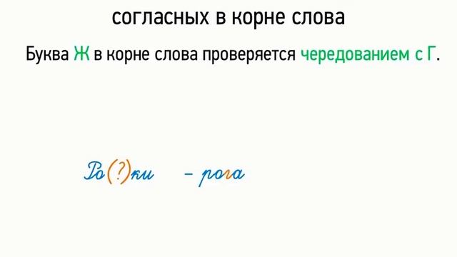 Правописание звонких и глухих согласных в корне слова (5 класс, видеоурок-презентация)