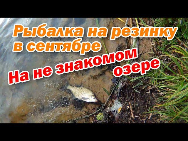 Рыбалка на резинку в сентябре На не знакомом озере